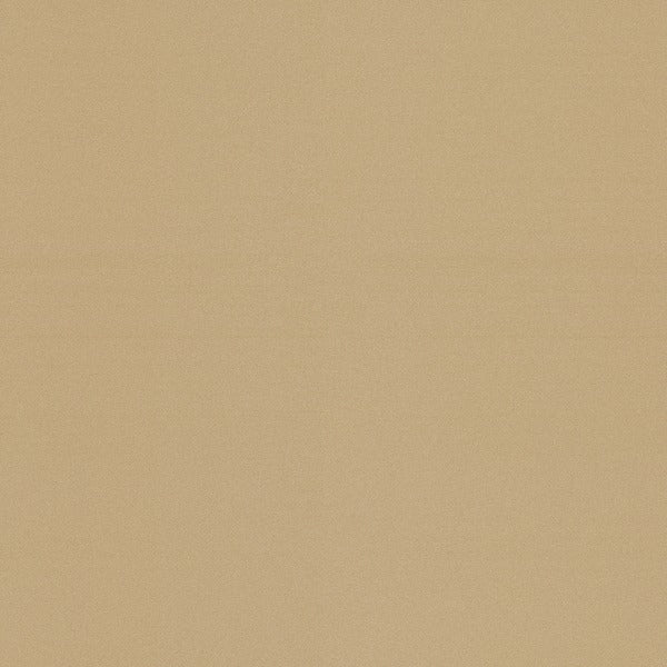 Solid Shade - Champagne