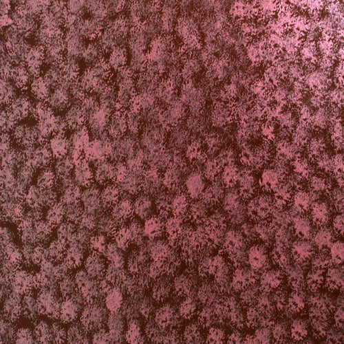 coral Reef